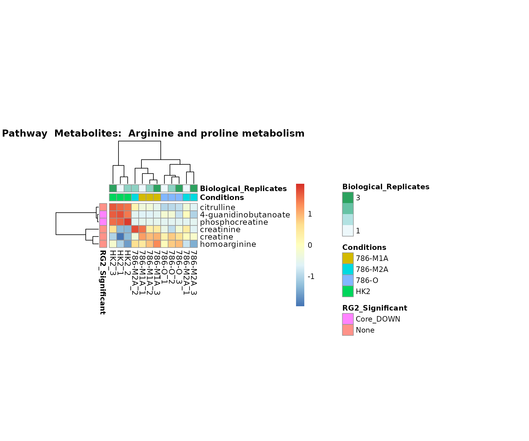 Standard Metabolomics • MetaProViz